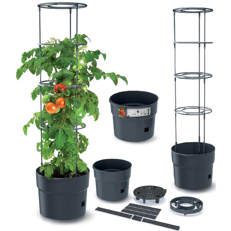 TOMATO PLANTING POT WITH LADDER CAPACITY 18L – Your Sports Performance